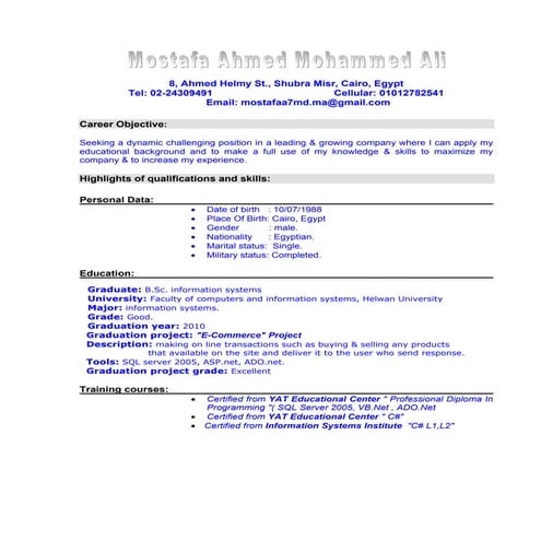 Mostafa CV | PDF | Programming Languages | Computing