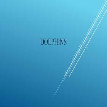 633945220-A-simple-presentation-about-dolphins.pdf