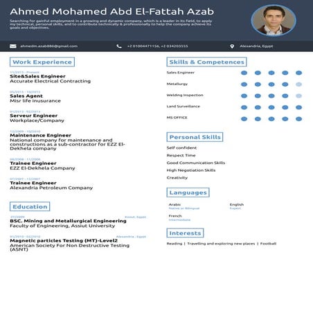 Ahmed Azab C.V | PDF