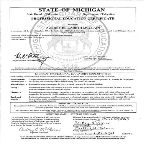 Professional License | PDF