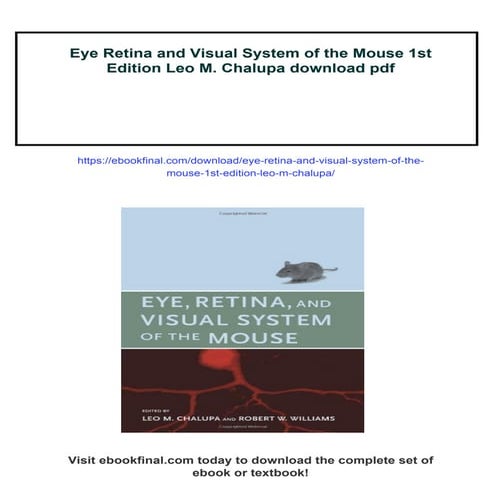 Eye Retina and Visual System of the Mouse 1st Edition Leo M. Chalupa | PDF