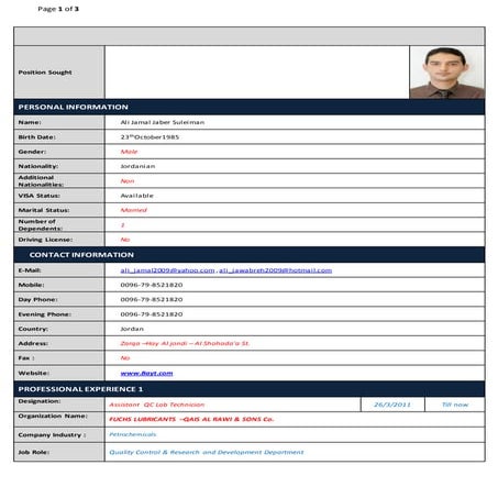 Ali Jamal CV-en | DOCX | Human Resources | Business
