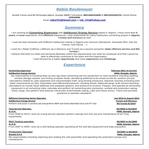 CV - Amr ROV PT | DOCX