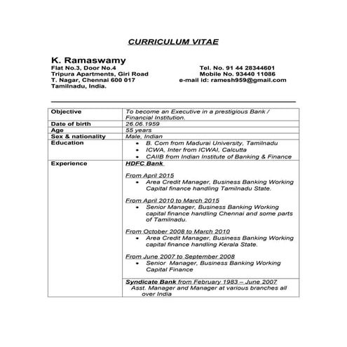 Nitin Kumar Resume Credit Analyst | DOC