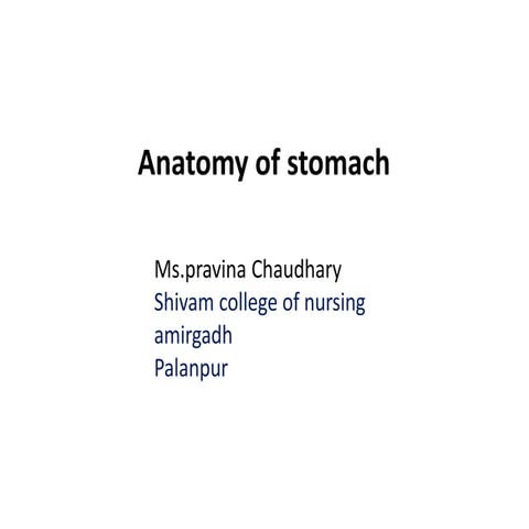 Anatomy of stomach by Pravina Chaudhary.. | PPTX