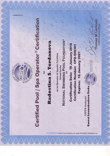 Bachelor Diploma | PDF