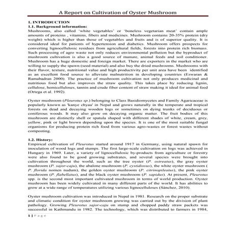 mushroom-report | PDF