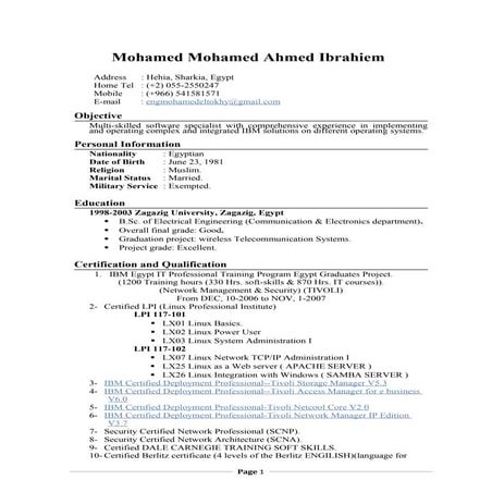 Ayman shehab cv | DOC