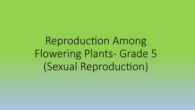 Different parts of flower. Sepal Petal Stamen Pistil Stigma | PPTX