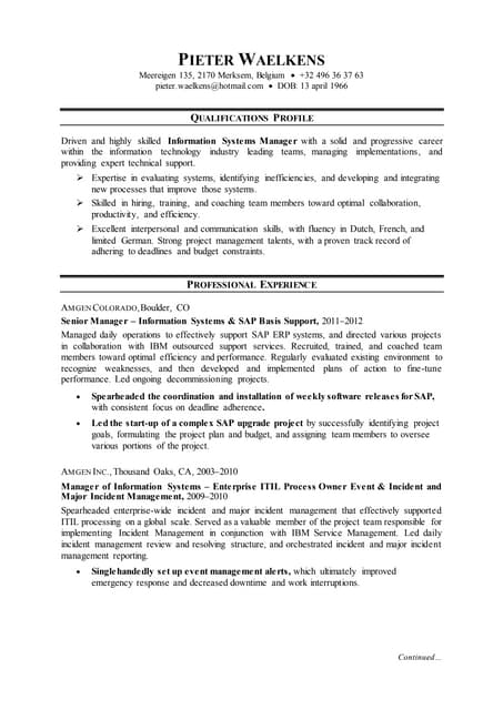 Dale RESUME_2008_Summary_v2 | DOC