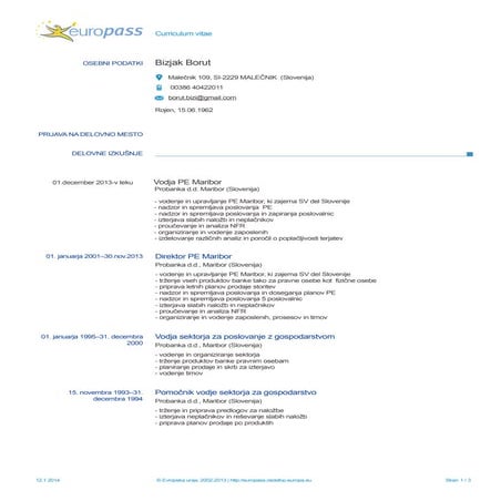 CV Borut-Slovenščina | DOC