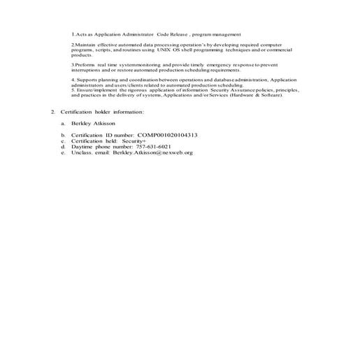 it_experience | DOCX