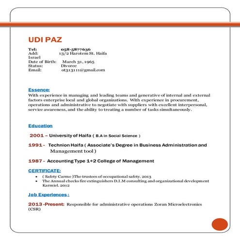 UDI PAZ resume | DOCX
