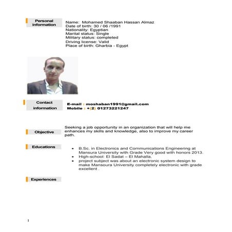 Mohamed Shaban_s CV(1) | DOC
