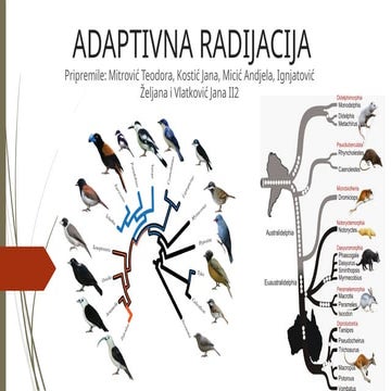 AdaptivnaRadijacijaKodZivotinjaIOstalihStvari.pptx