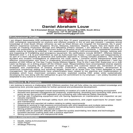 Daniel Louw-CV (2) | PDF | Executive Leadership & Management | Business
