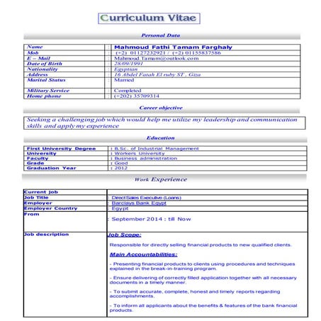 Mahmoud Tamam CV | PDF