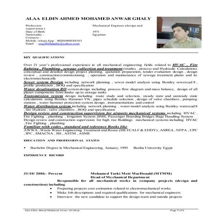 CV Alaa Eldin Ahmed Mohamed Anwar Ali Ghaly | DOCX | Civil Engineering Industry | Industries