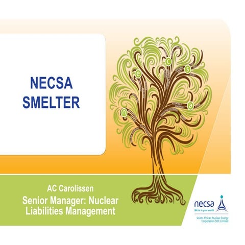 NECSA SMELTER FACILITY PRESENTATION | PDF