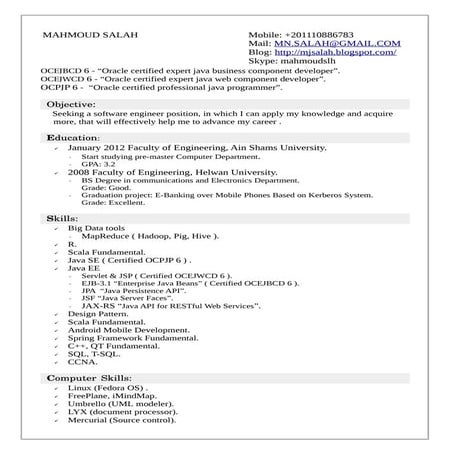 Bassam Almahdy - CV - Full Stack Developer | PDF