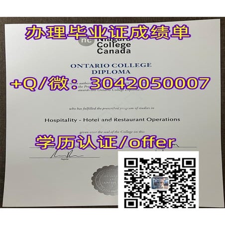 65尼亚加拉学院.pdf