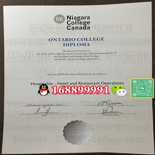 Niagara College degree offer diploma Transcript | PDF