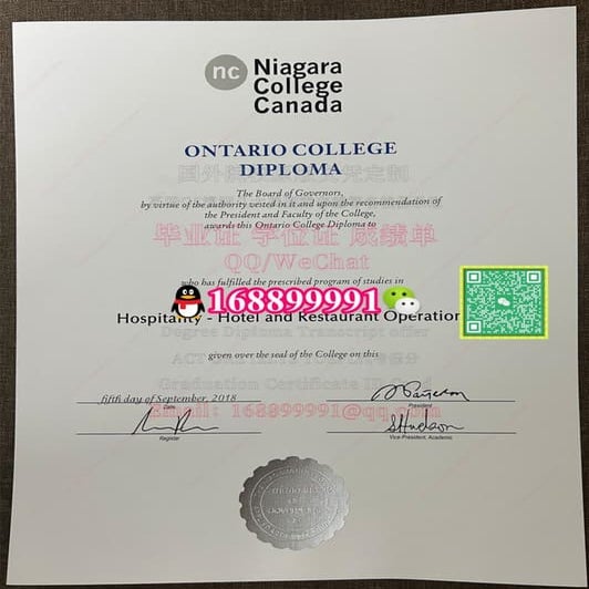 Niagara College degree offer diploma Transcript | PDF