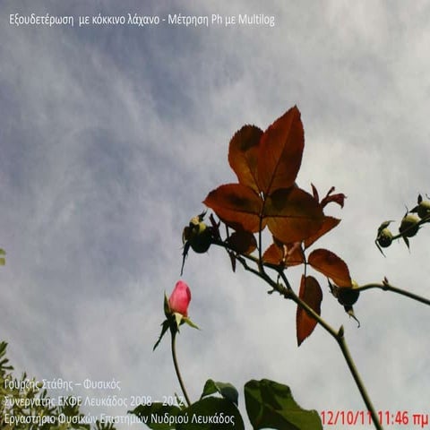 apomonosi dna apo mpanana peirama biologias.ppt