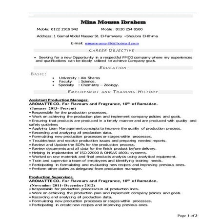 Mina Moussa-CV | DOCX