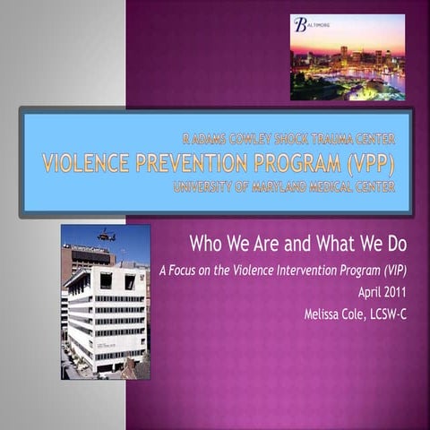 VPP-VIP Focus 4.2011