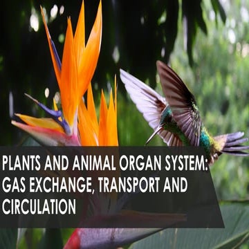 651960557-Q4-LESSON-3-PLANTS-AND-ANIMAL-ORGAN-SYSTEM.pptx