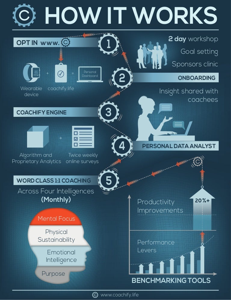 How it works infographic pdf