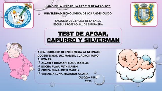 Valoración de silverman | PPT