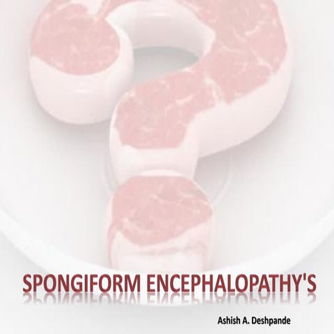 Spongiform Encephalopathy's | PDF