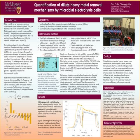 Erin Fuller WW Poster | PDF