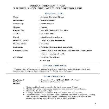 Bongani Maseko CV TV[1] | DOCX