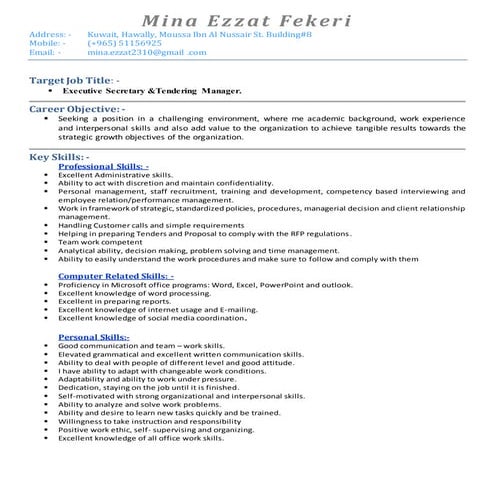 My CV | DOCX | Email | Internet