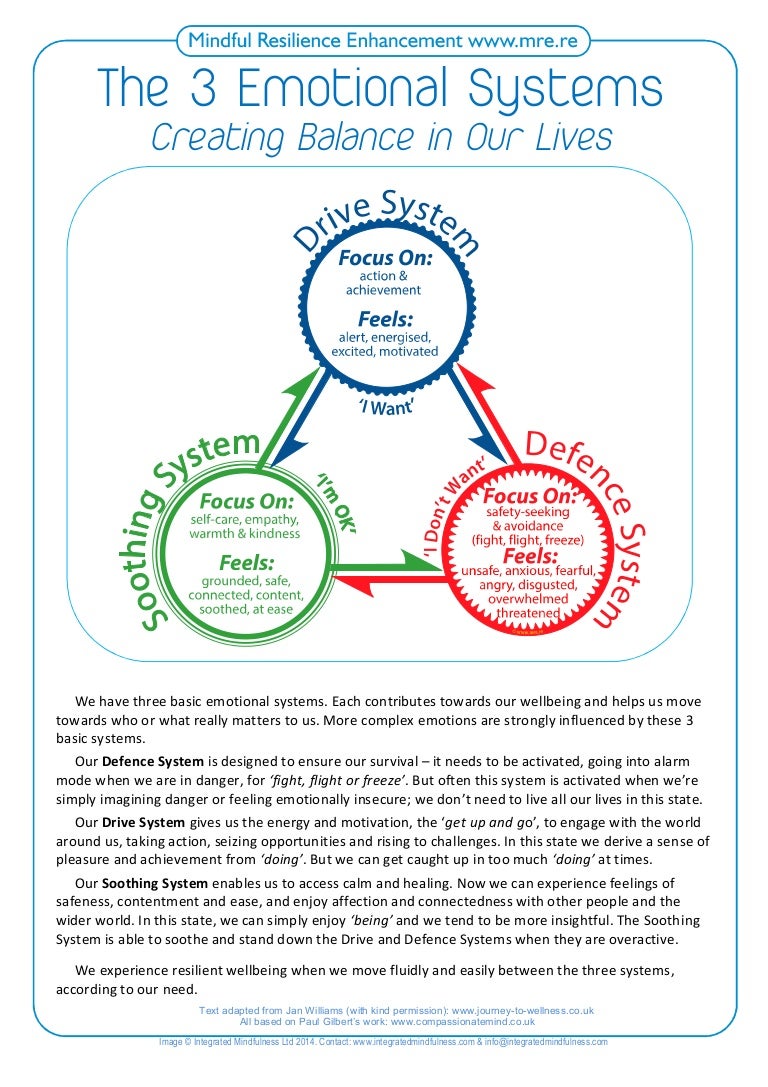 3 Basic Emotional Regulation Systems 2016 3-basic-emotional-regulation-systems-2016