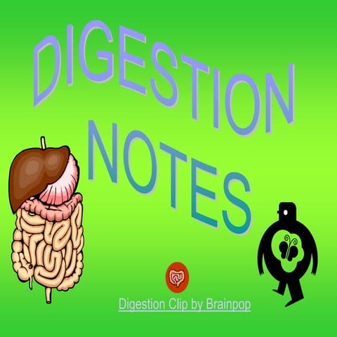Digestive System Grade 4 igcse easy notes ppt | PPT | Nutrition ...