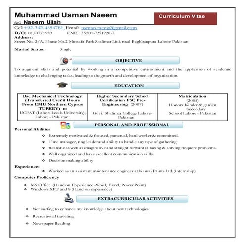 usman Cv | DOCX