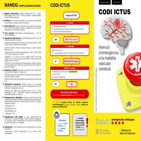 659230097-Triptic-CODI-Ictus-2023 GENE (1).pdf
