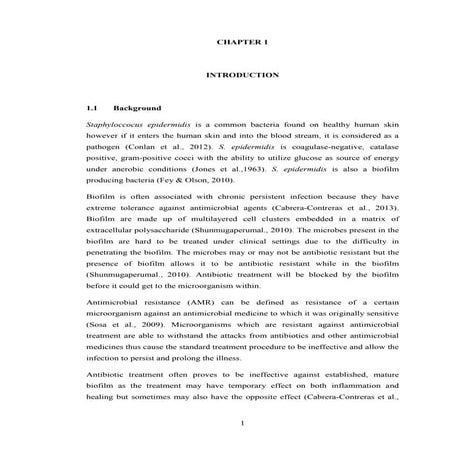 Thesis Introduction | PDF