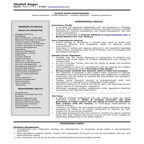 CV-shef(2) | DOC | Desktop Publishing | Computer Software and Applications