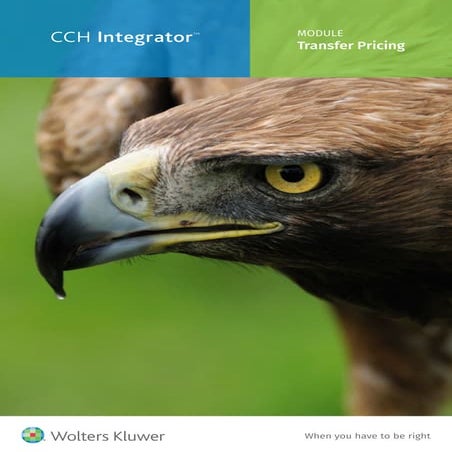 CBC Reporting Brochure | PDF