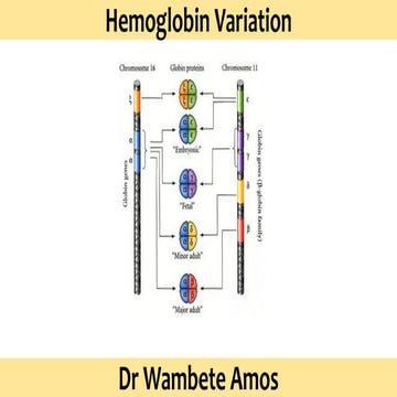 66125029-b786-4337-94ce-6281fa8752c2 (1).pdf