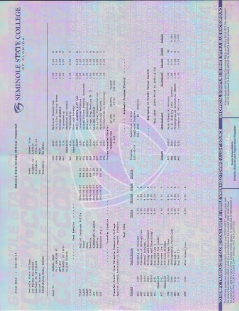 Valencia Transcript | PDF