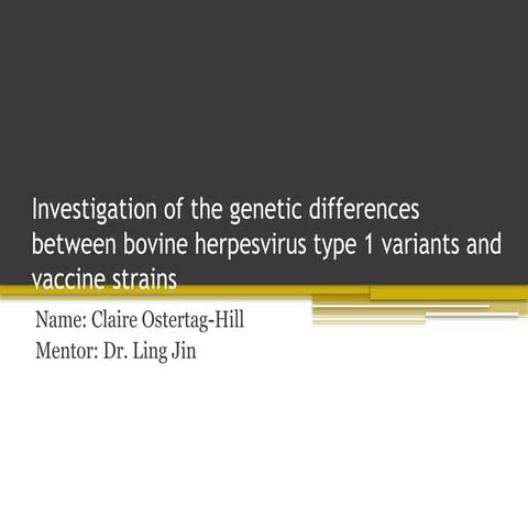 Comprehensive Guide to Equine Internal Parasites and Deworming ...