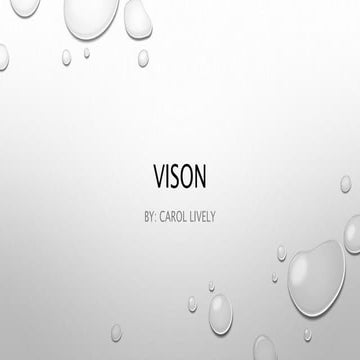 Vison | PPT | Free Download