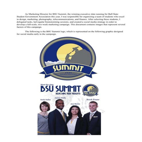 Summit Marketing Compilation | PDF