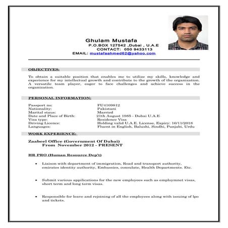 mustafa cv(updated) | DOC